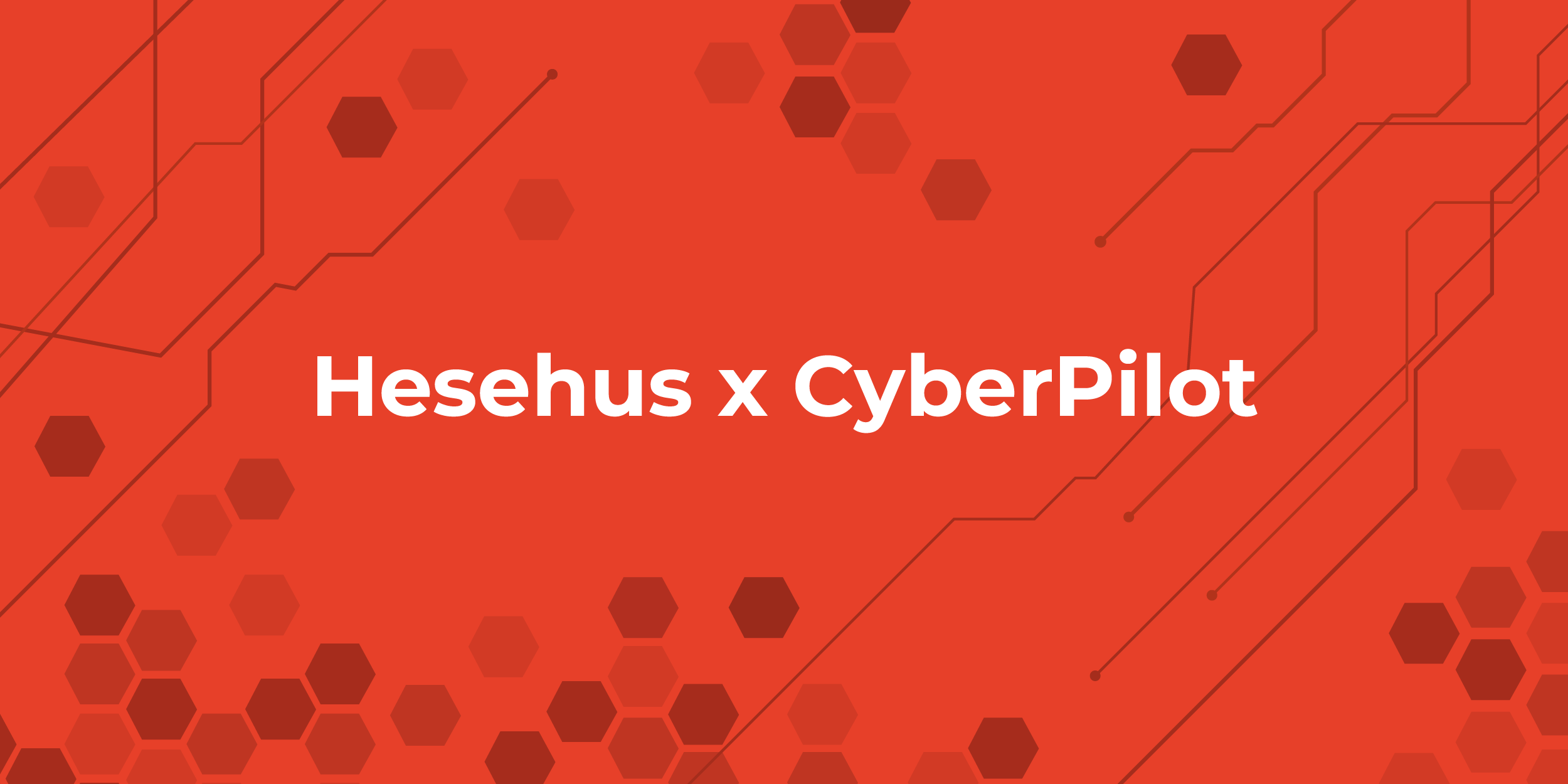 Hesehus X CyberPilot